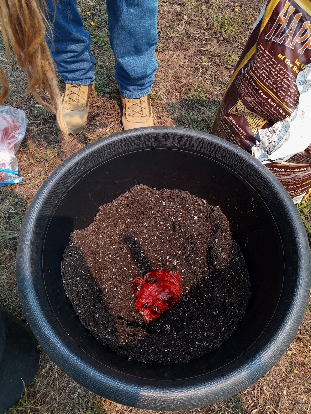 Planting the Placenta: How I Honored my Placenta and how it Resembles ...